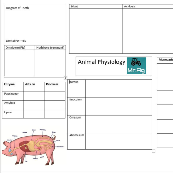 Animal Physiology Mindmap – Mr. Ag