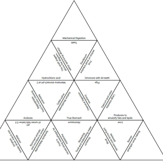 Animal Reproduction Tarsia Puzzle – Mr. Ag
