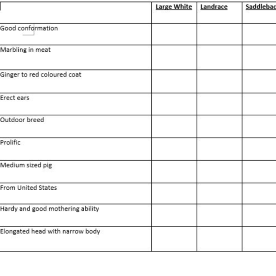 Pig Production ID Grid – Mr. Ag