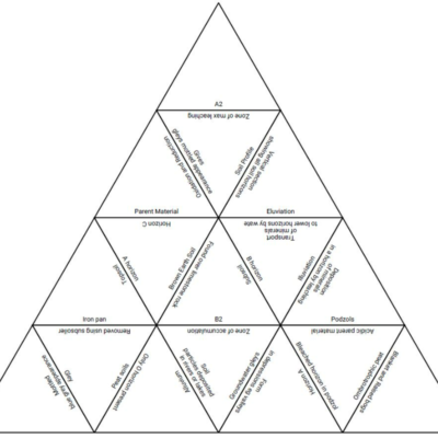 Ag Science Tarsia Puzzles – Mr. Ag