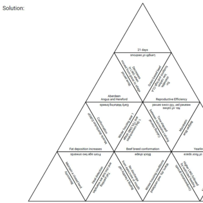 Ag Science Tarsia Puzzles – Mr. Ag