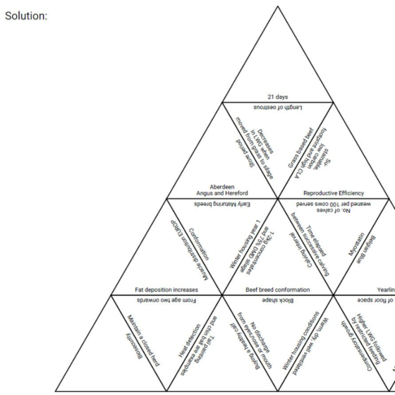 Ag Science Tarsia Puzzles – Mr. Ag