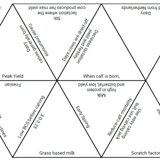 Ag Science Tarsia Puzzles – Mr. Ag