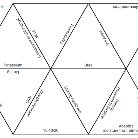 Ag Science Tarsia Puzzles – Mr. Ag