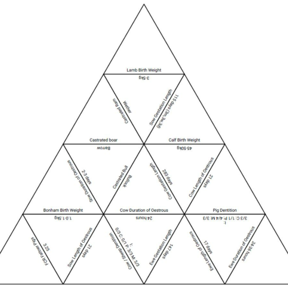 Ag Science Tarsia Puzzles – Mr. Ag