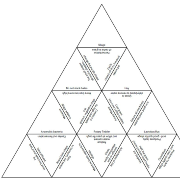 Ag Science Tarsia Puzzles – Mr. Ag