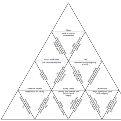 Ag Science Tarsia Puzzles – Mr. Ag