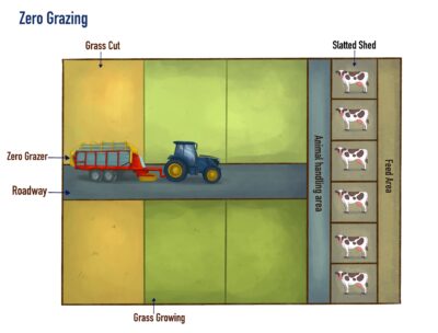 Grazing Methods Bundle – Mr. Ag