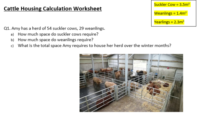 Beef Carcass Grades – Mr. Ag