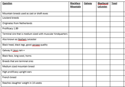 Sheep Production ID Grid – Mr. Ag