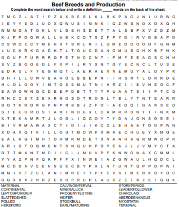 Beef Production Wordsearch – Mr. Ag