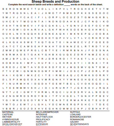 Sheep Breeds and Production Wordsearch – Mr. Ag