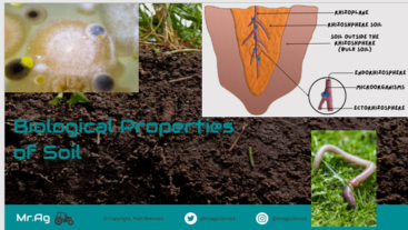 Biological Characteristics of Soil PowerPoint – Mr. Ag