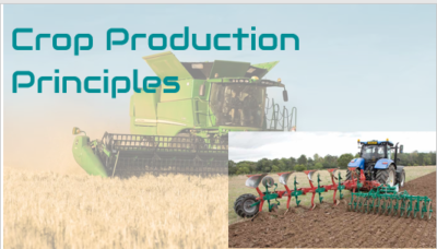 Crop Principles PowerPoint – Mr. Ag
