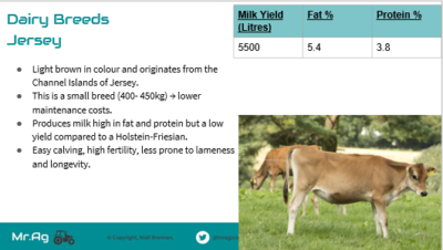 Dairy Production PowerPoint – Mr. Ag