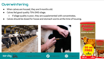 Dairy Production PowerPoint – Mr. Ag