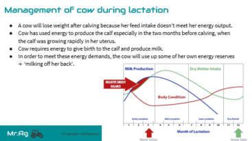 Dairy Production PowerPoint – Mr. Ag
