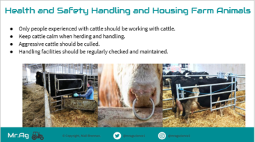 Dairy Production PowerPoint – Mr. Ag