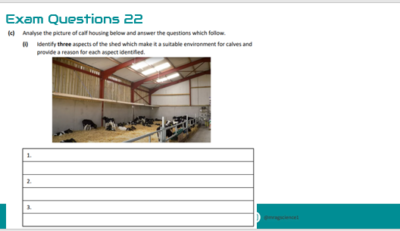 Dairy Production PowerPoint – Mr. Ag