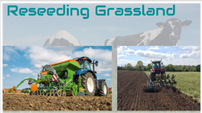 Reseeding PowerPoint – Mr. Ag