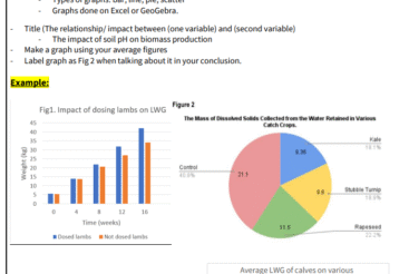 Ag Science Project Booklet + Feedback – Mr. Ag