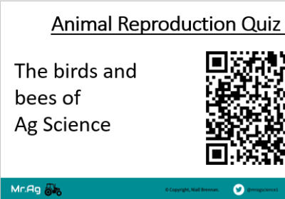Reproductive System QR Quiz – Mr. Ag