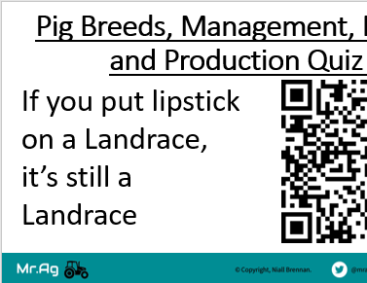 Pig Production QR Quiz – Mr. Ag