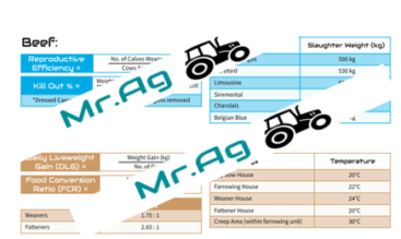 Ag Science Cheat Sheet – Mr. Ag