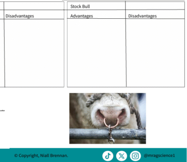 Genetics Mindmap – Mr. Ag